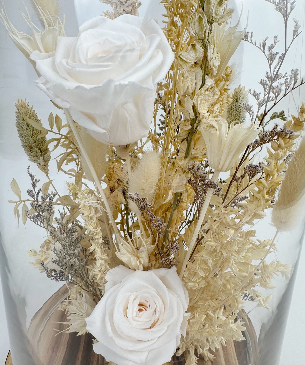 Preserved white rose arrangement in cloche – JaBella Designs